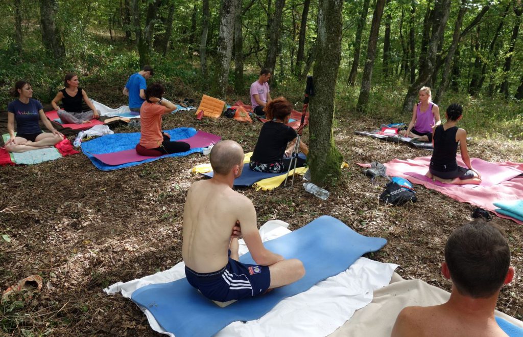 Photos du stage yoga en forêt – Entre Les Arbres