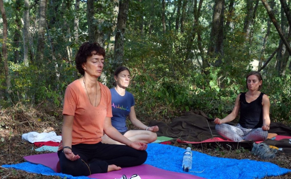 Photos du stage yoga en forêt – Entre Les Arbres