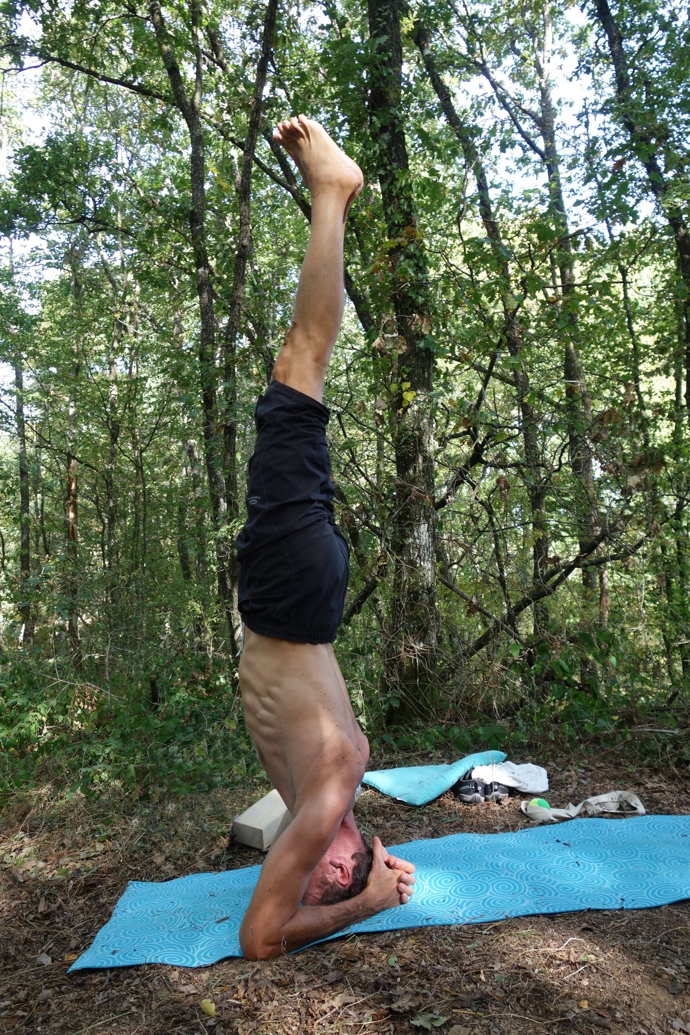 Photos du stage yoga en forêt – Entre Les Arbres